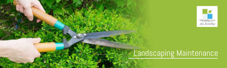 Landscaping Maintenance – Professional Pools